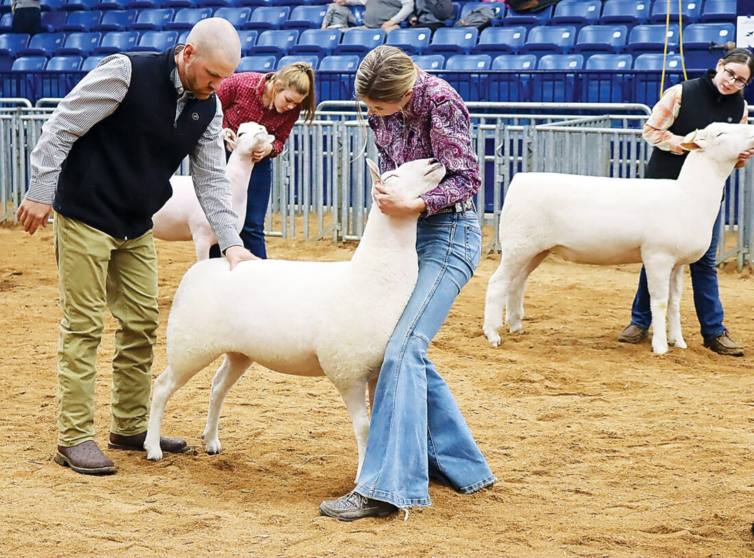 Showing their stuff | News, Sports, Jobs - Altoona Mirror